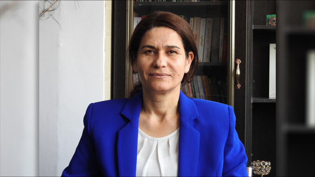 Ilham Ehmed: Bidawîbûna êrişan û şerê DAIŞ - Ronahi TV
